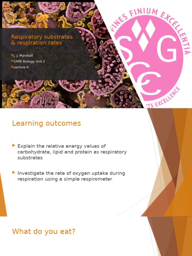 Respiratory Substrates & Respiration Rates | PDF