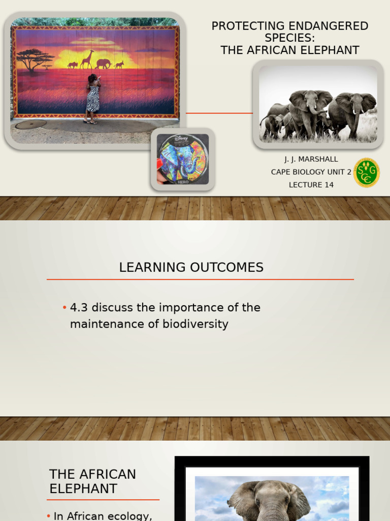 The African Elephant As A Keystone Species | PDF