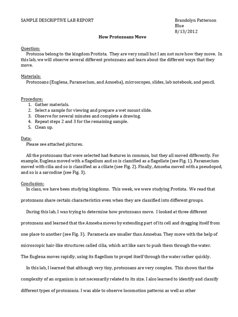 Sample Lab Report Descriptive Pdf 7407
