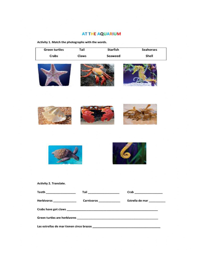 Aquarium | PDF