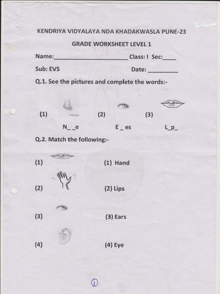 Class I Evs Worksheets Evs | PDF