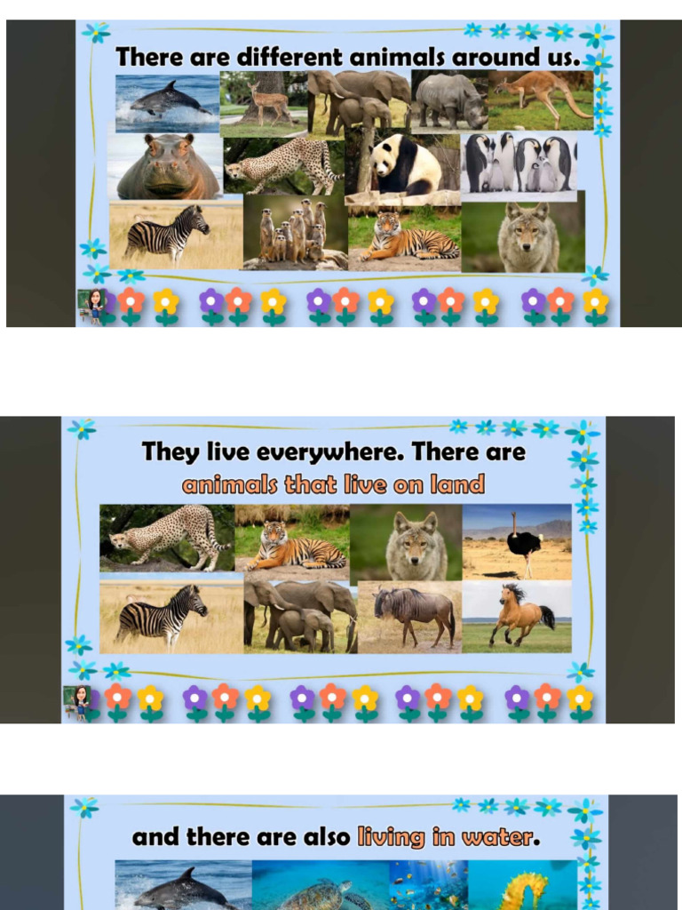 Types of Animals | PDF