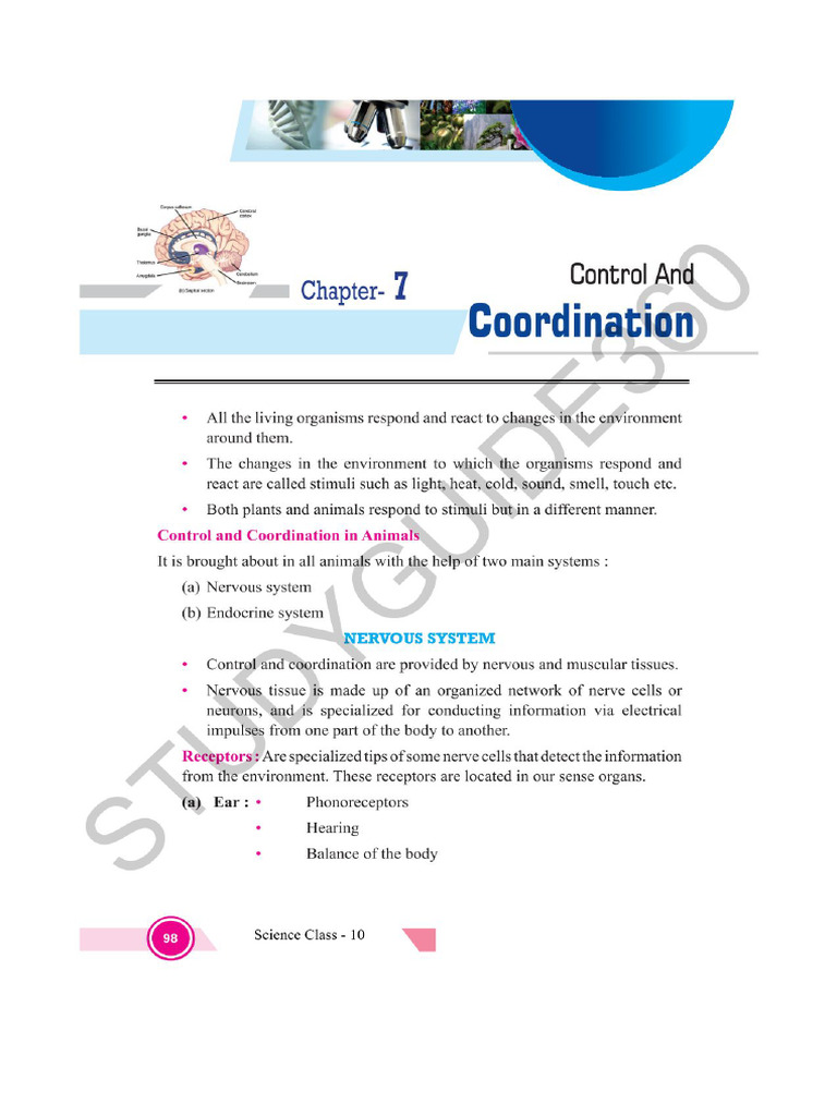 Class 10 Science Notes Chapter 7 Studyguide360 | PDF