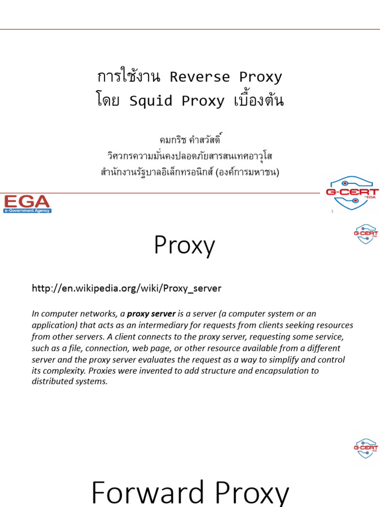 Squid Proxy | PDF
