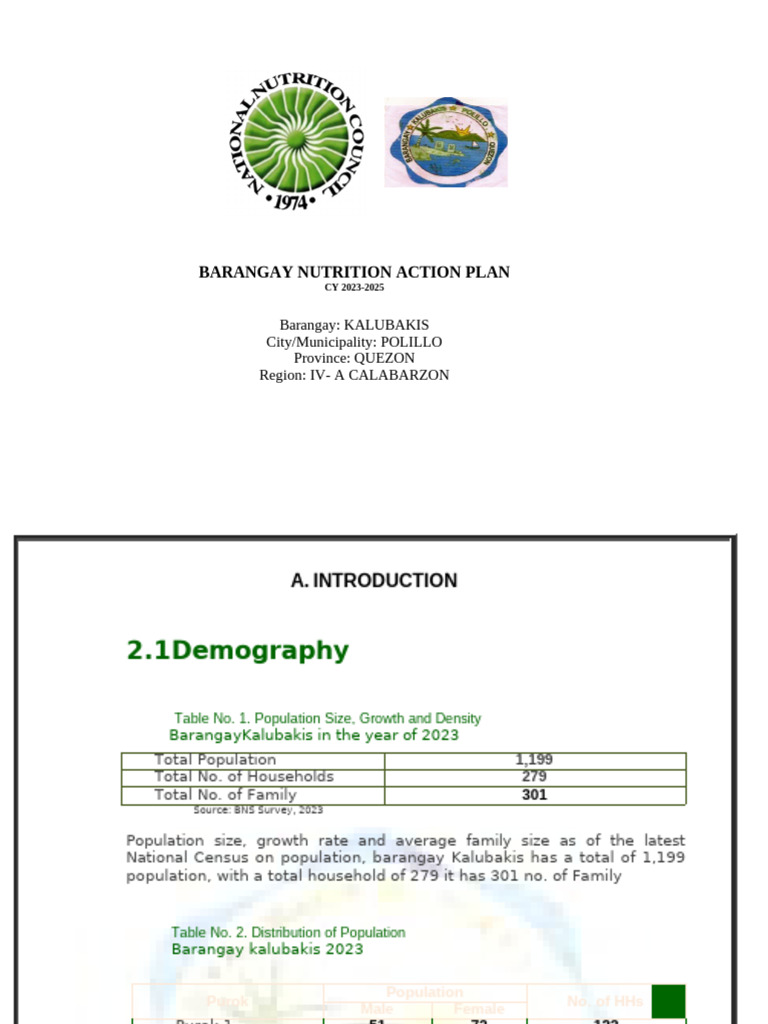 BNAP-Template 2023-2025 PMNP.5 | PDF