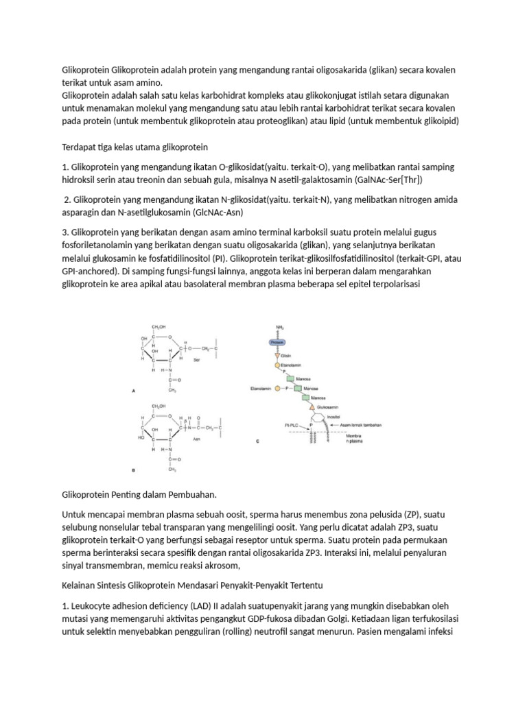 Glikoprotein Dan Proteoglikan 9 | PDF