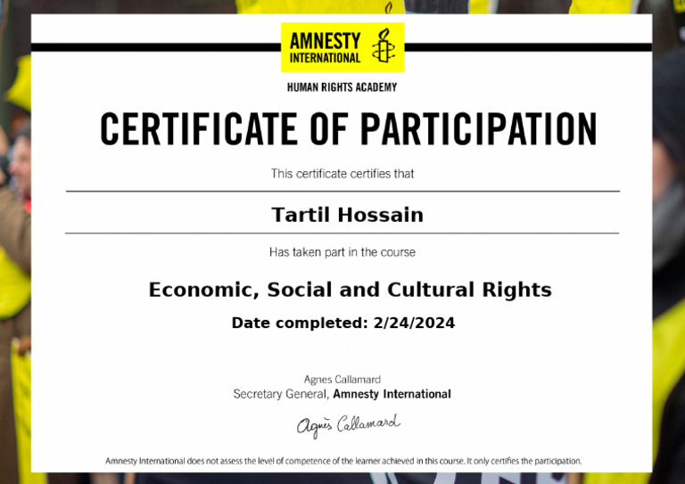 Amnesty Certificate | PDF