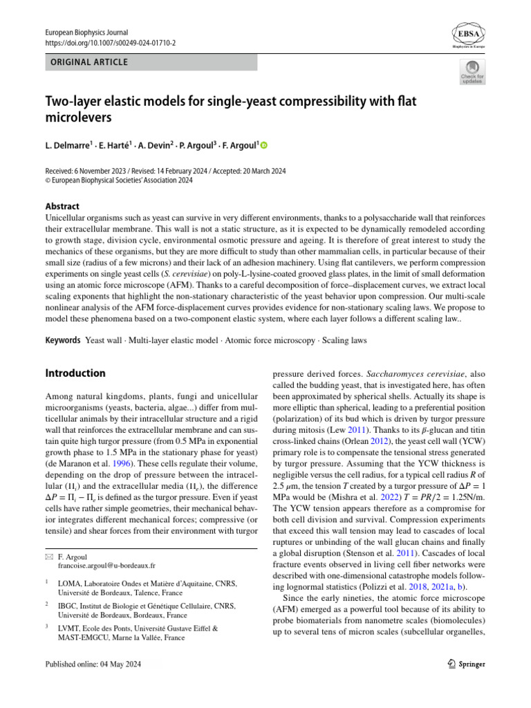 Two Layer Elastic Models For Single Yeast Compressibility With Flat ...