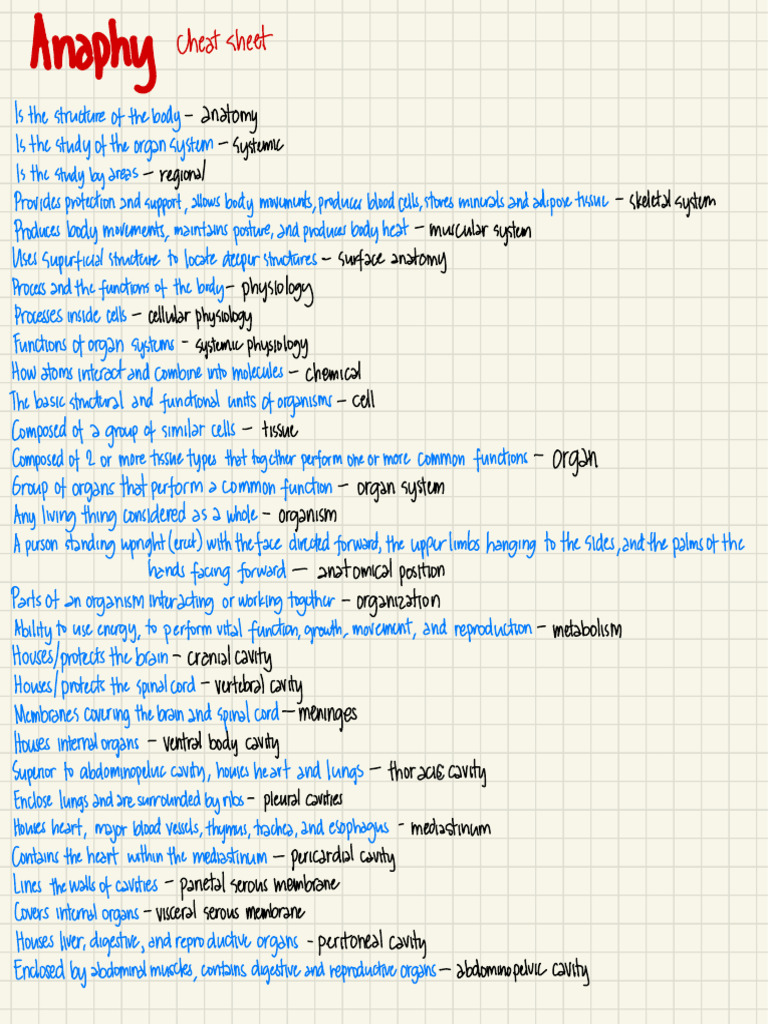 Anaphy Cheat Sheet | PDF