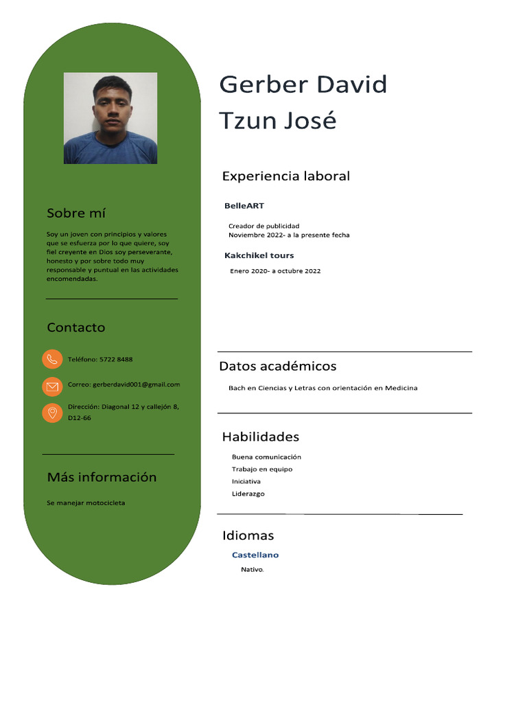 Gerber David Tzun José CV | PDF