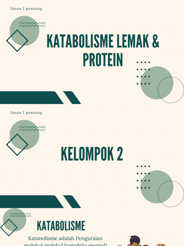 Katabolisme Lemak Dan Protein PDF | PDF