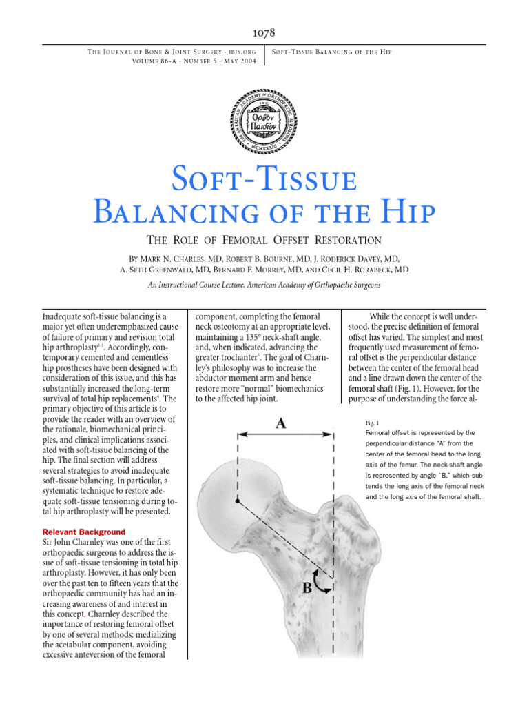 Soft-Tissue of Balance of Hip | PDF