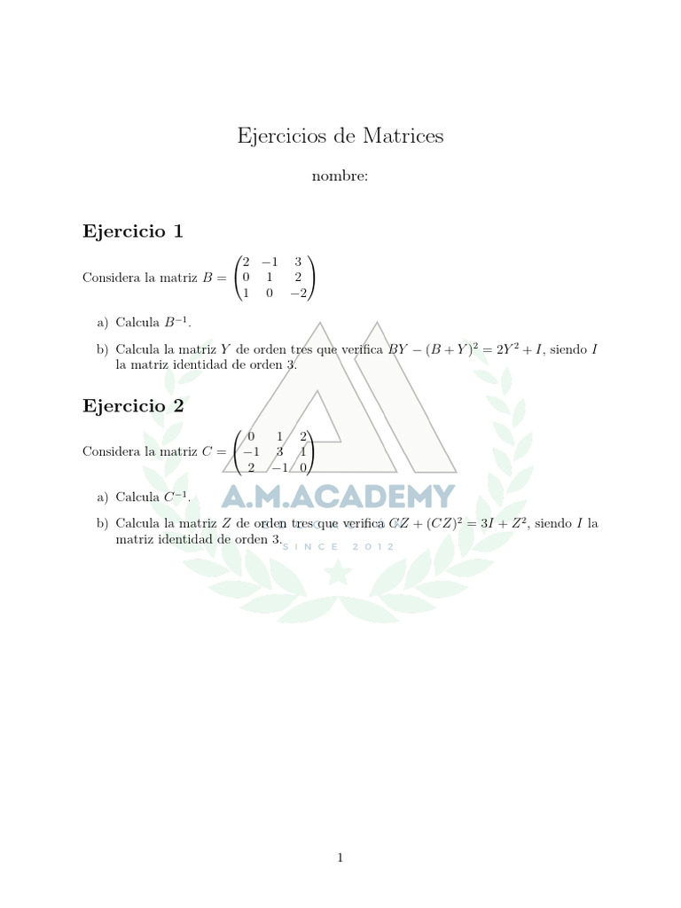Prueba Matrices Bach | PDF