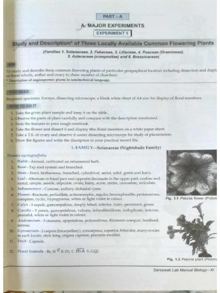 Class 11 Lab Manuals Important | PDF