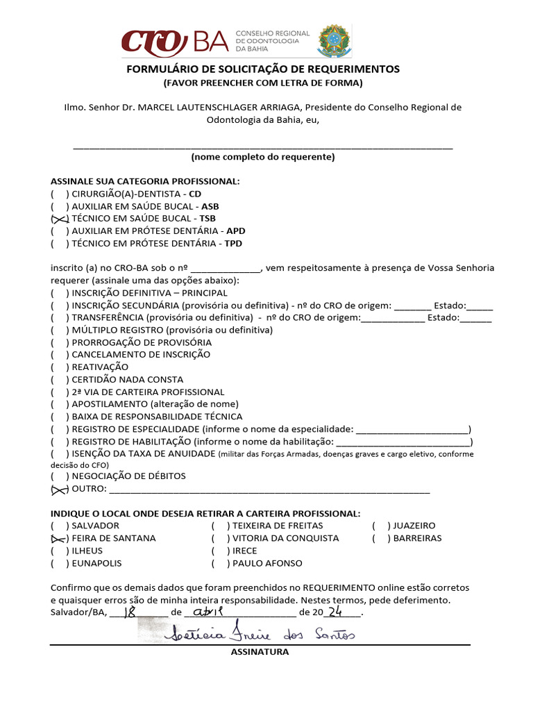 Formulario Requerimentos Profissional 3 | PDF