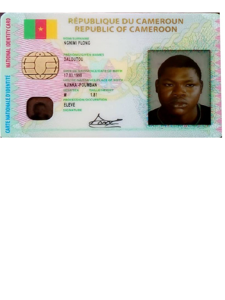 Identity Card | PDF