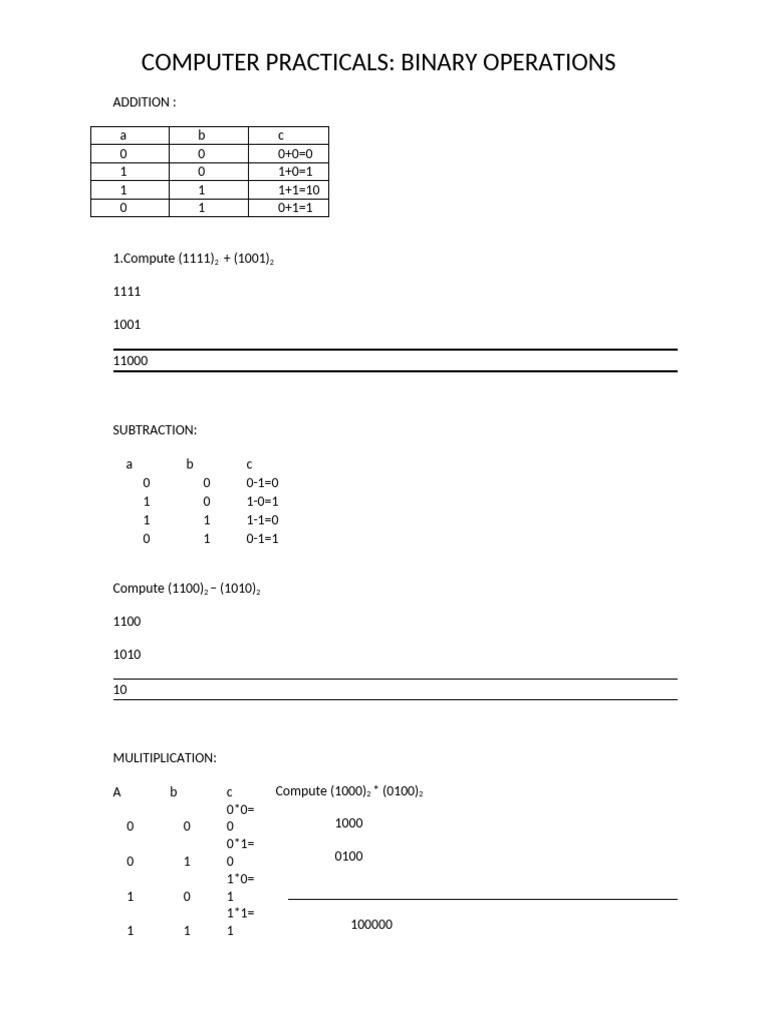 Computer Practicals | PDF