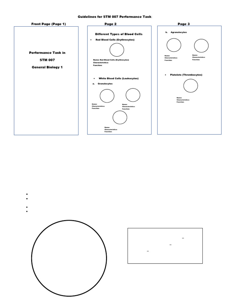 Guidelines For STM 007 Performance Task | PDF