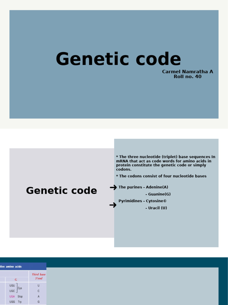 Genetic Code | PDF