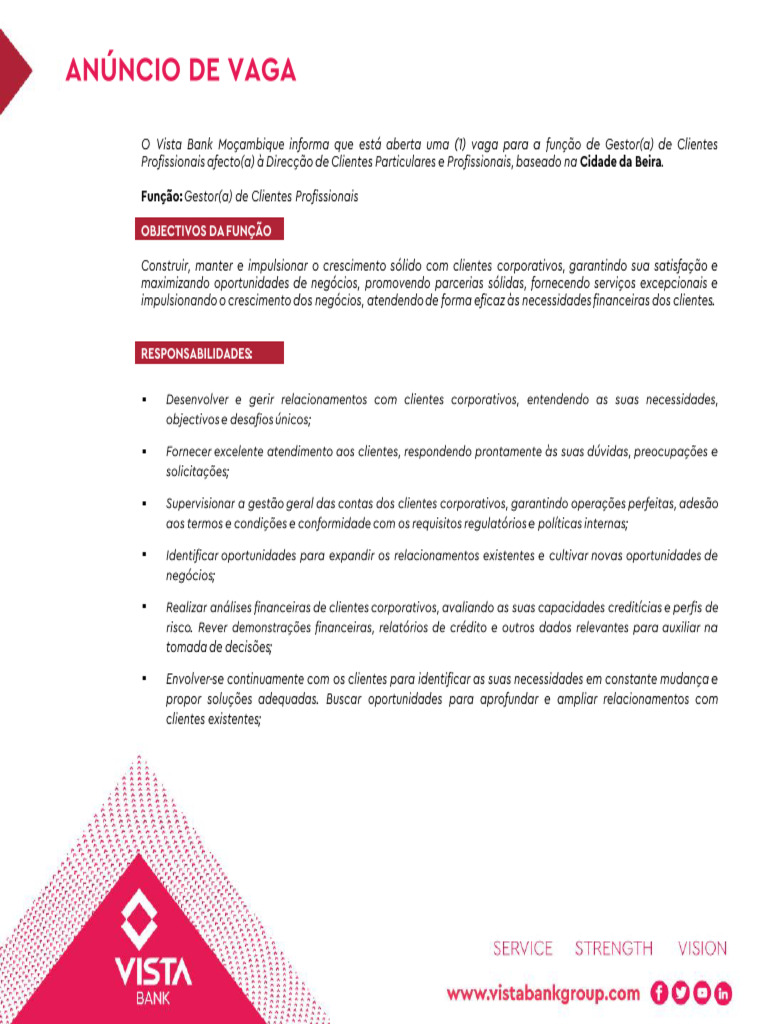 Gestor (A) de Clientes Profissionais | PDF