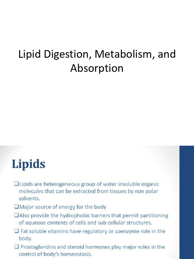 LIPIDS | PDF