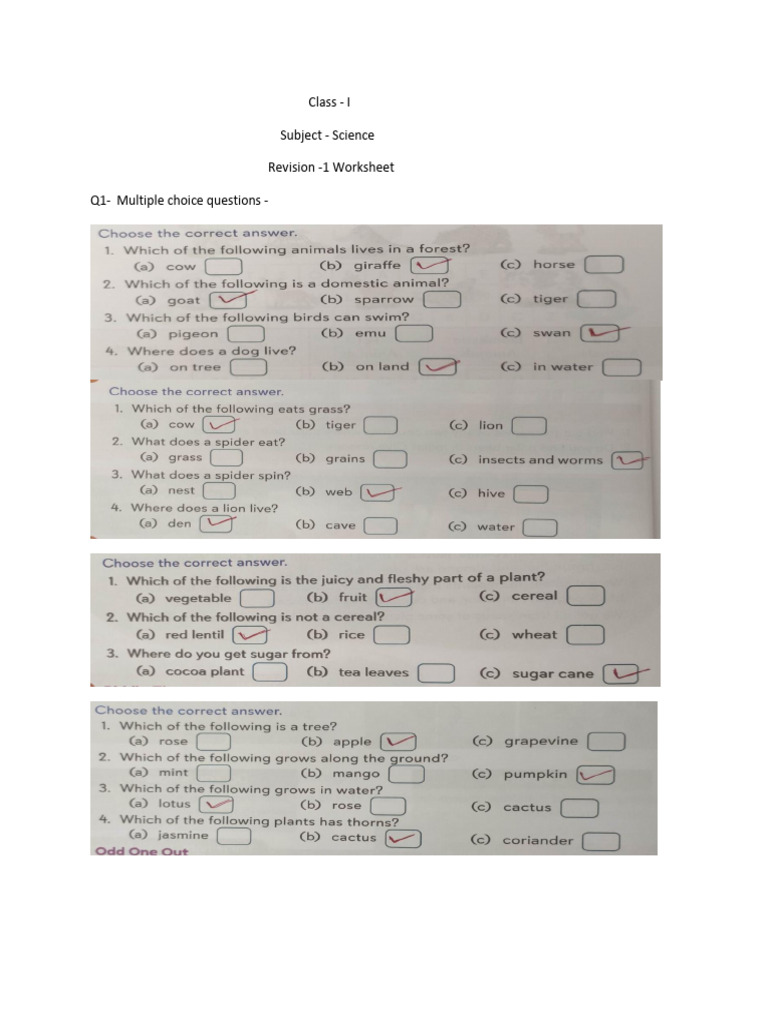 Class - 1 Science, Revision - 1worksheet | PDF