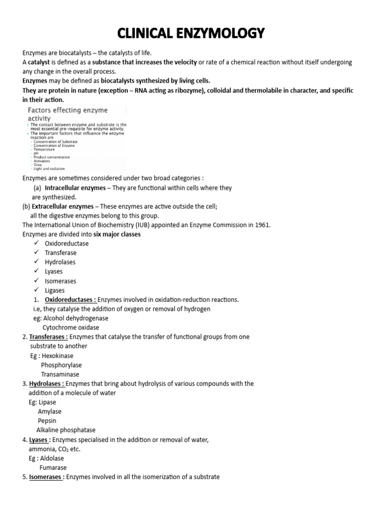 Clinical Enzymology | PDF