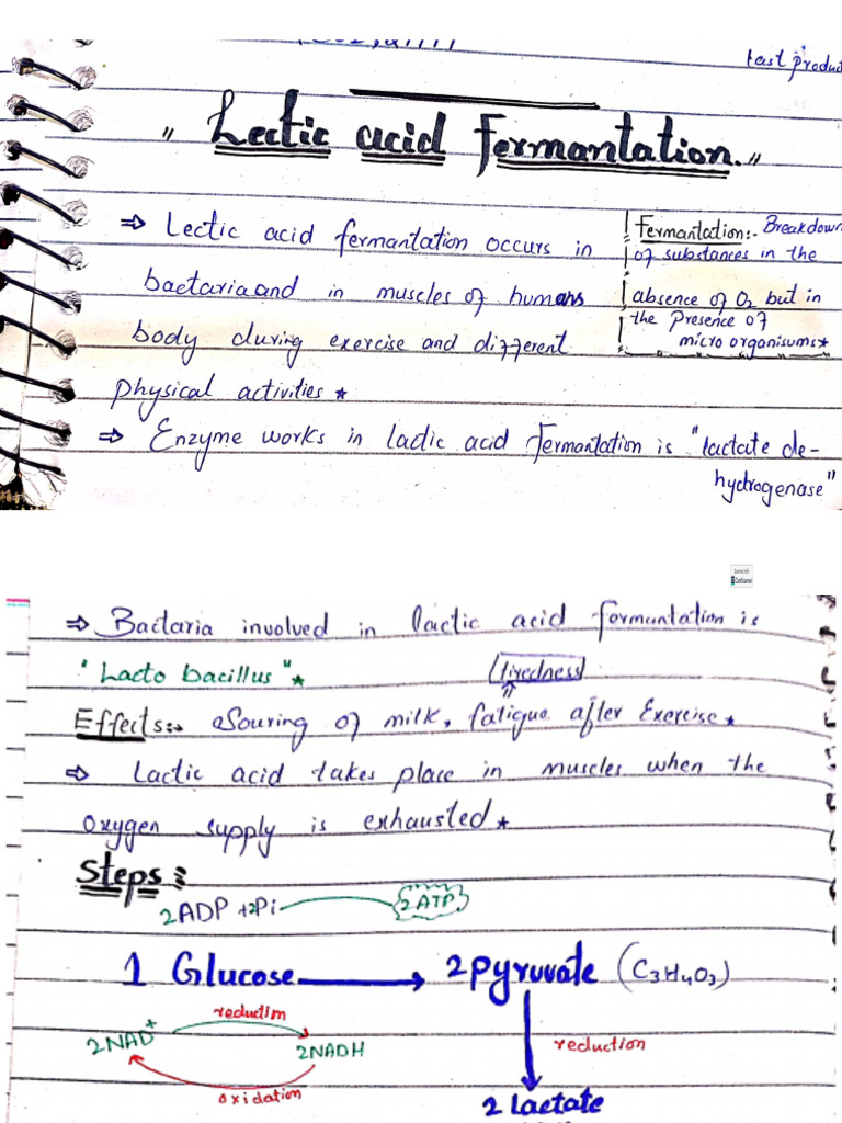 Lactic Acid Fermentation - 1 | PDF