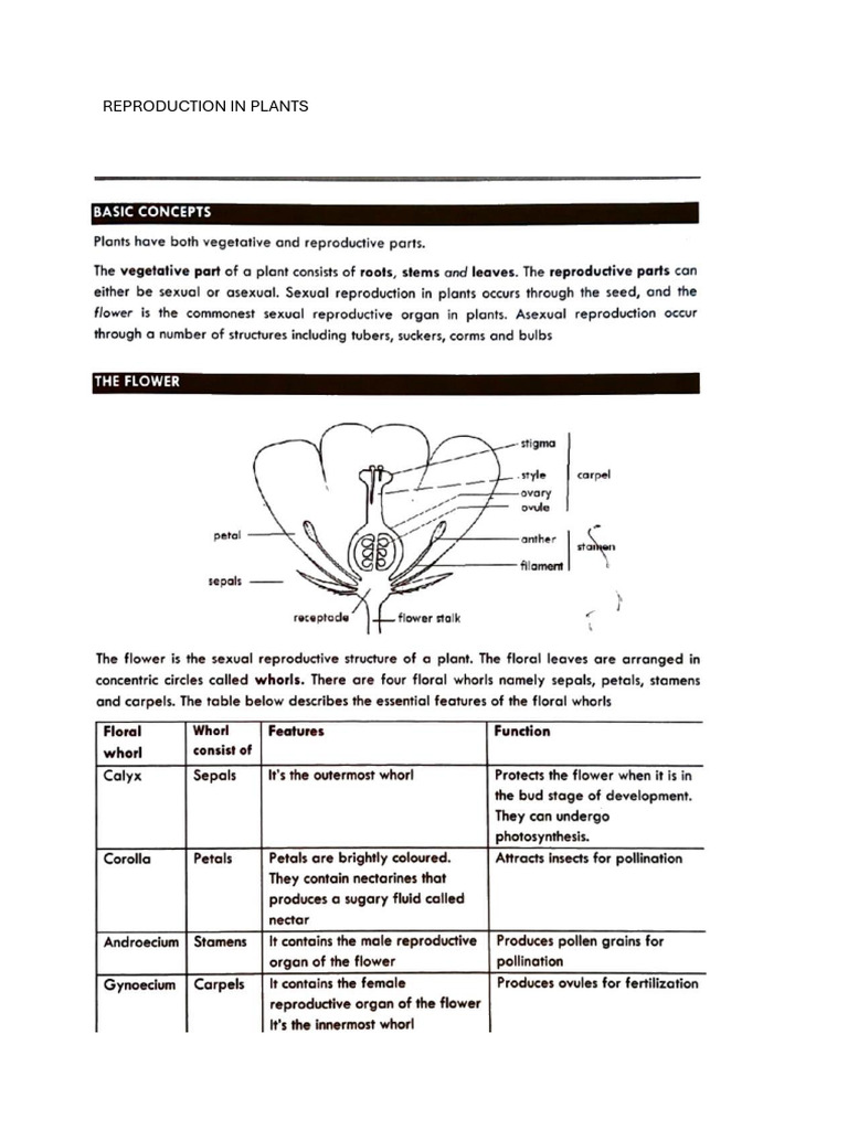 Reproduction in Plants | PDF