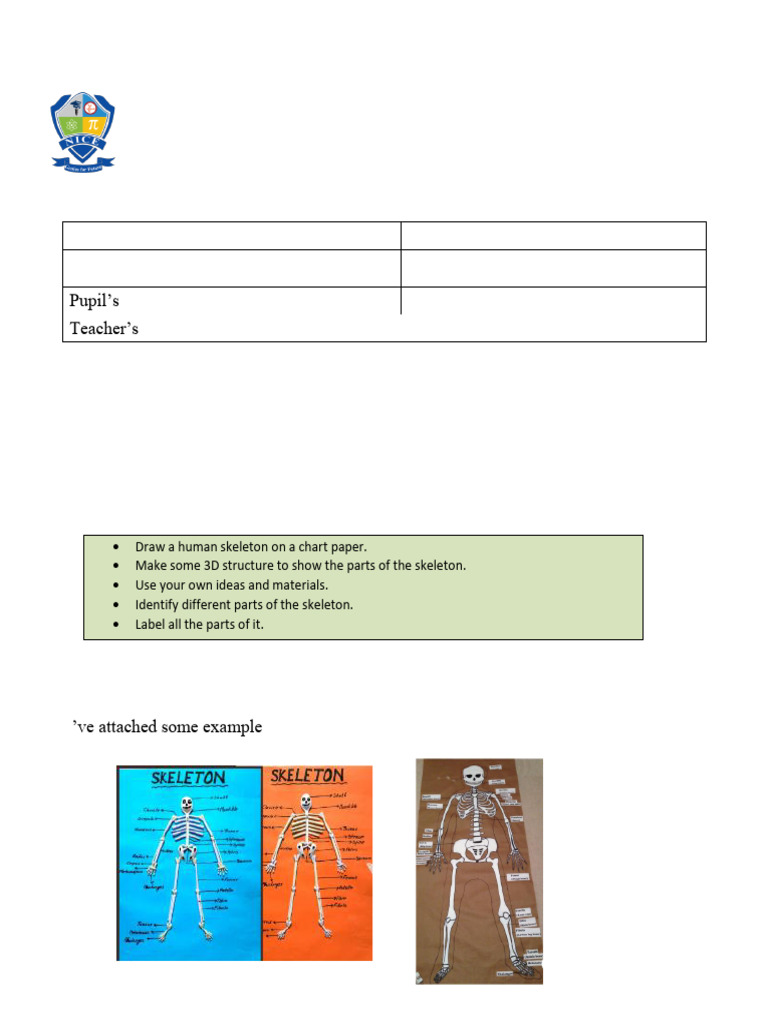 STD III Science Project On Human Skeleton | PDF