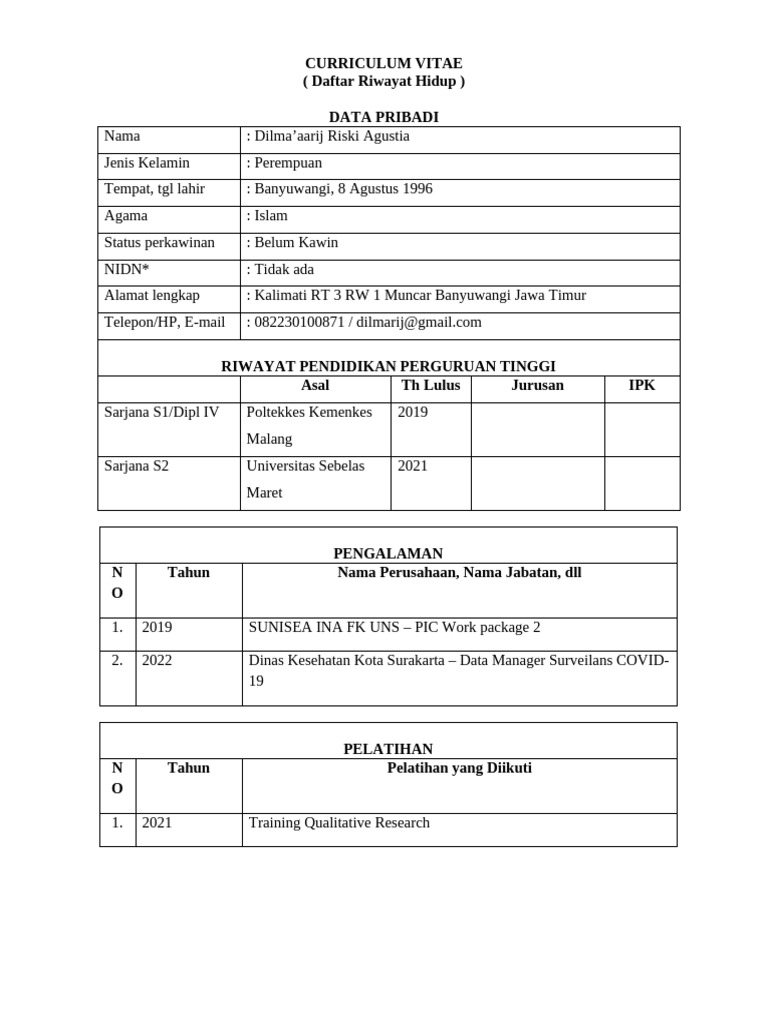 Format DRH_CV_2022 | PDF