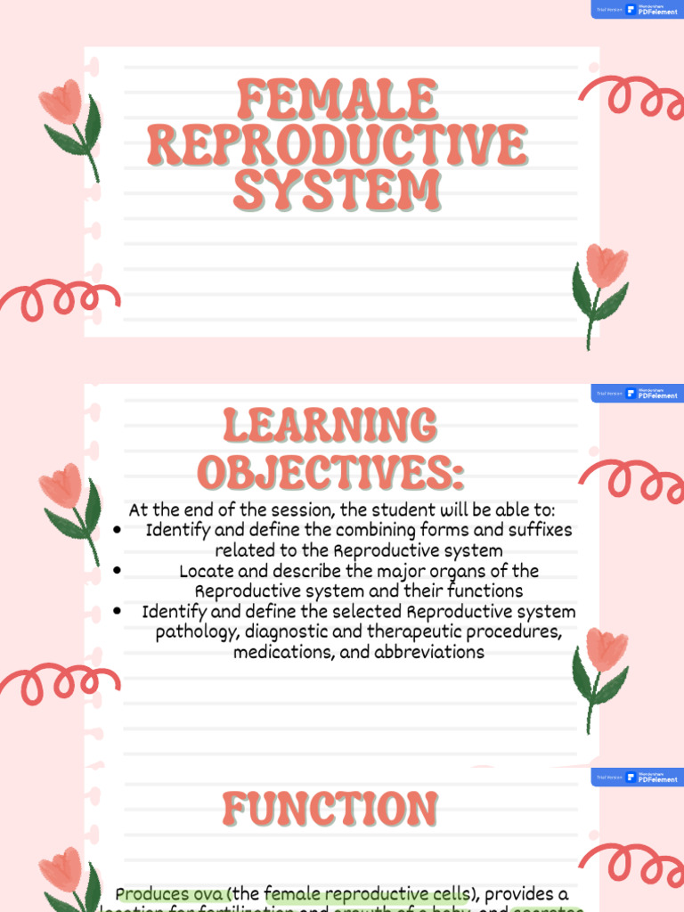 Female Reproductive System | PDF