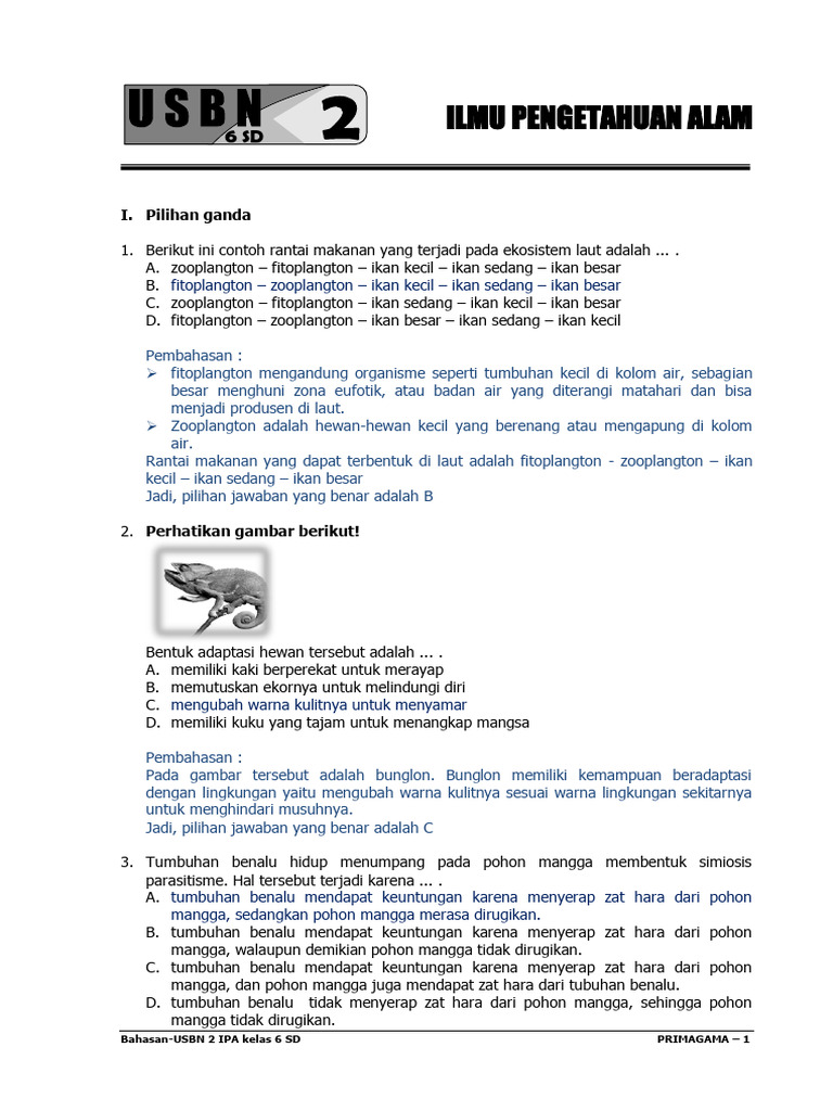 Pembahasan Simulasi USBN 2 | PDF