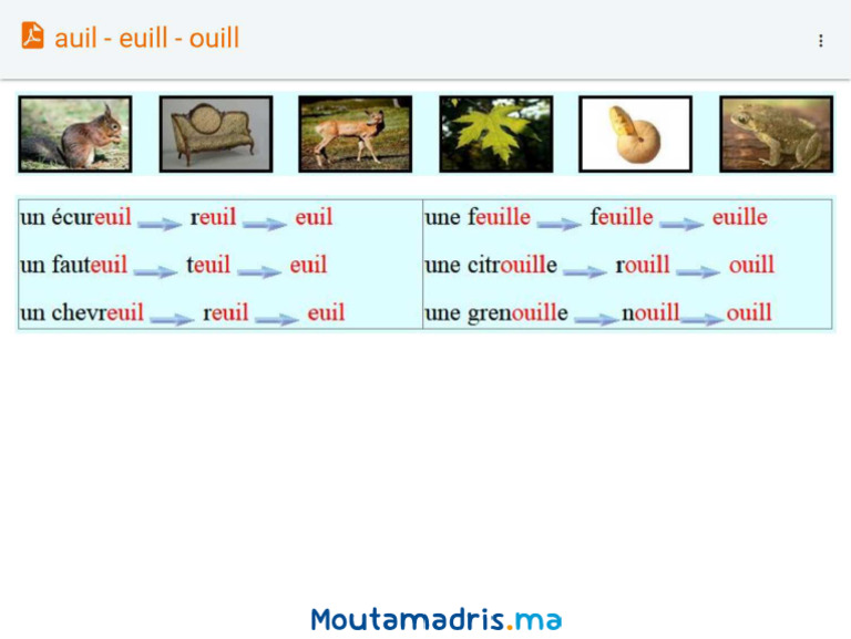Cours Auil - Euill - Ouill 3eme Primaire 1 | PDF