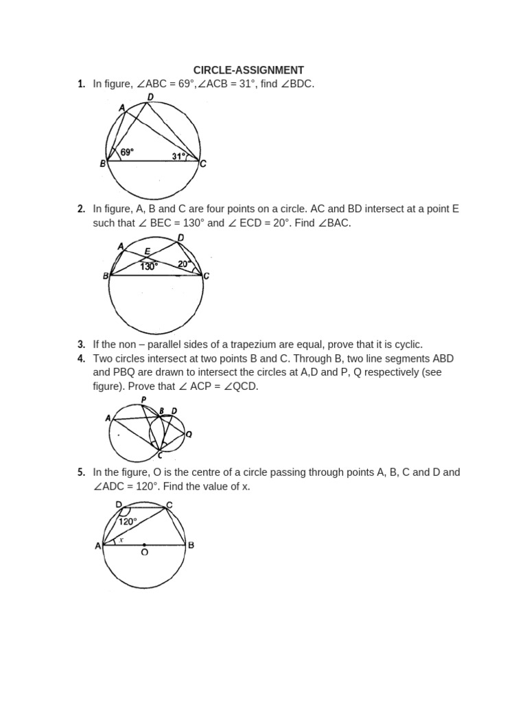 Circles Assignment | PDF