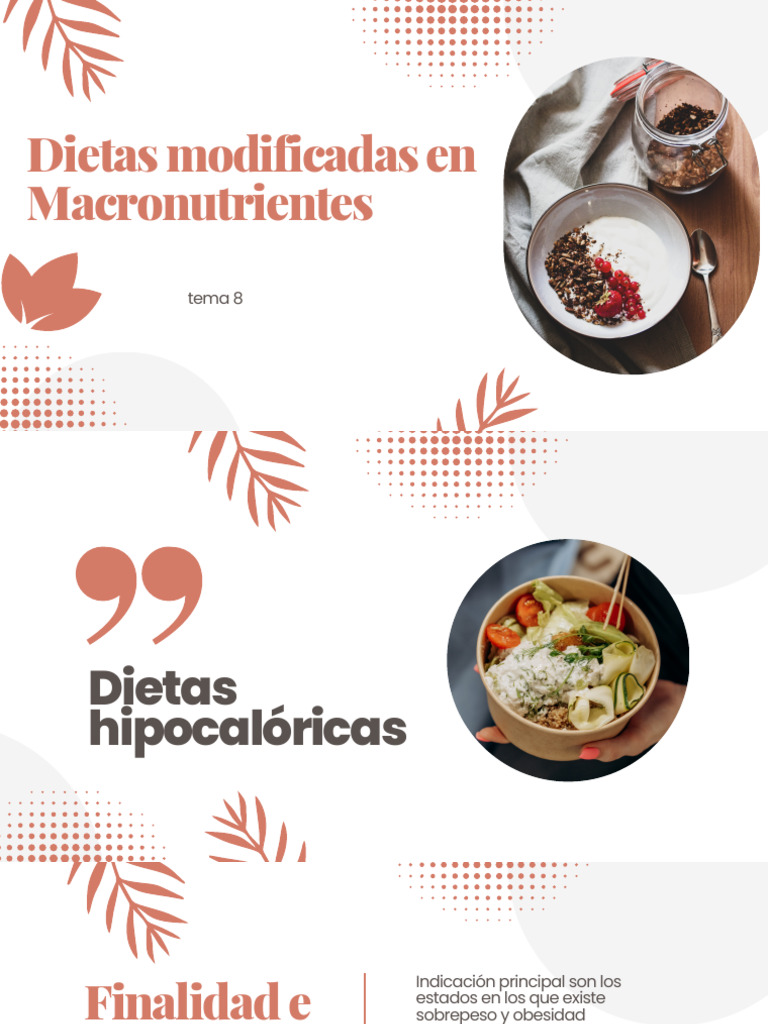 Tema 6 Dietas Modificadas En Macronutrientes Pdf Dieta Nutrientes