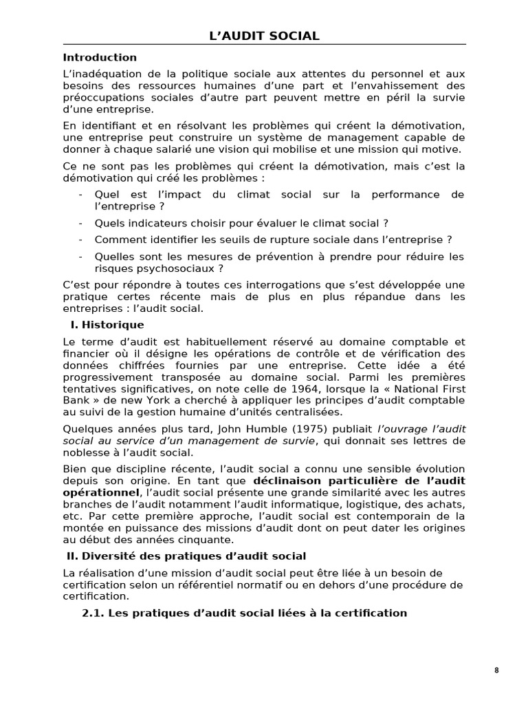 Cours Audit Social | PDF
