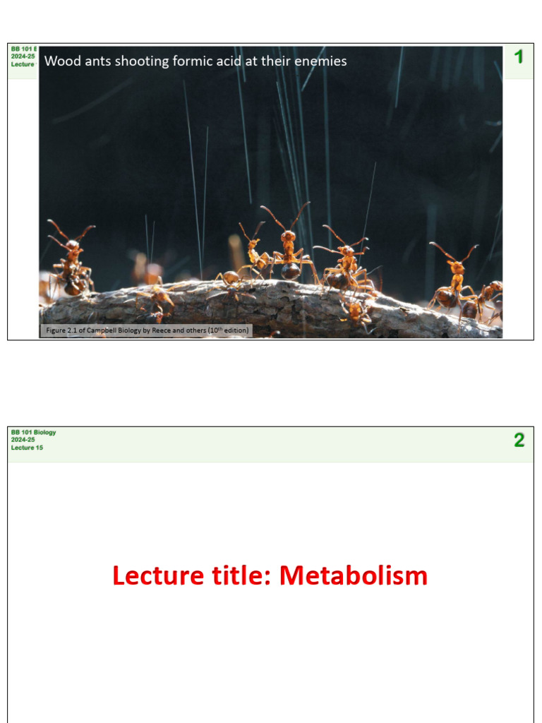 L15 Metabolism | PDF