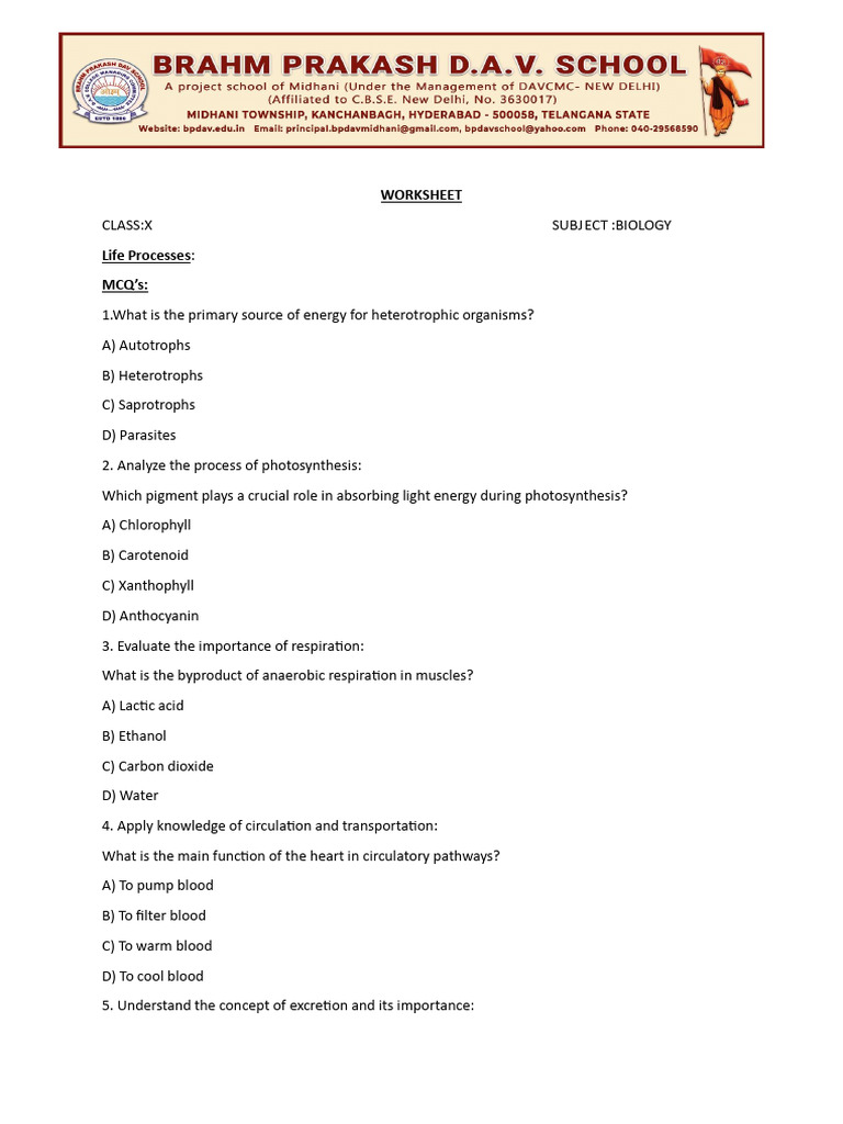 .Worksheet For Class10 Biolody | PDF | Atmosphere Of Earth | Cellular ...