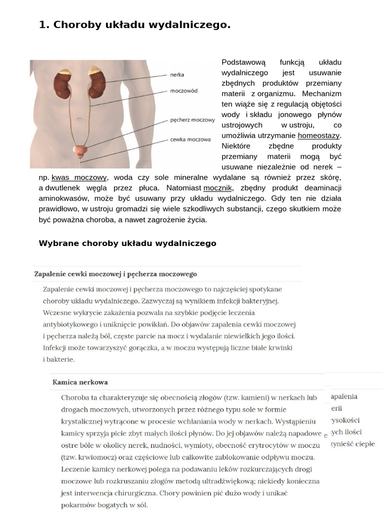 Choroby Układu Wydalniczego | PDF