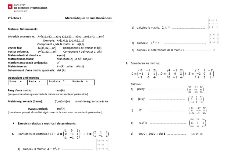 Pràctica 2 - Matrius I Determinants | PDF