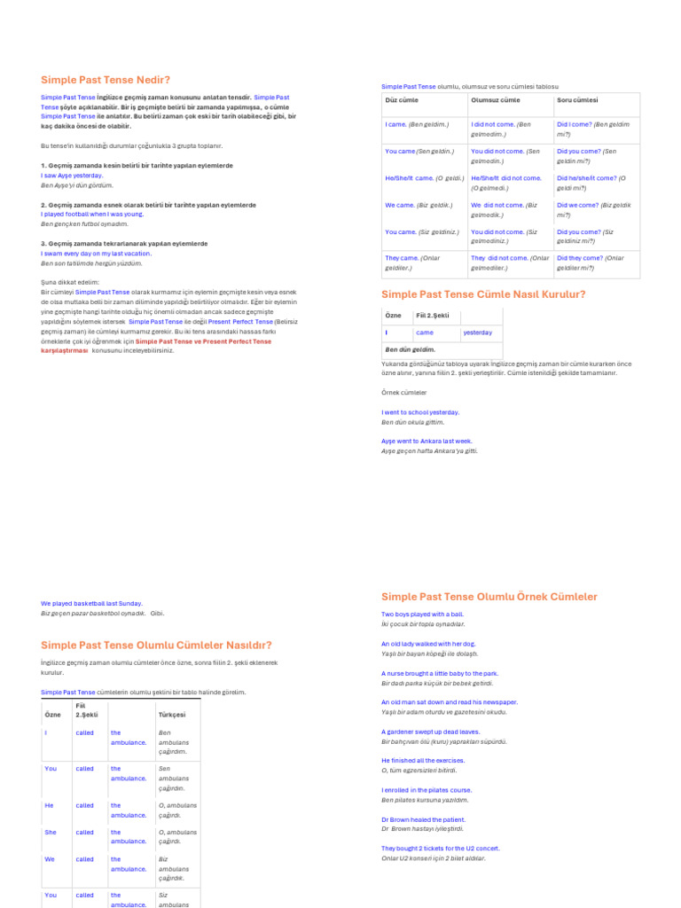 5-Simple Past Tense | PDF
