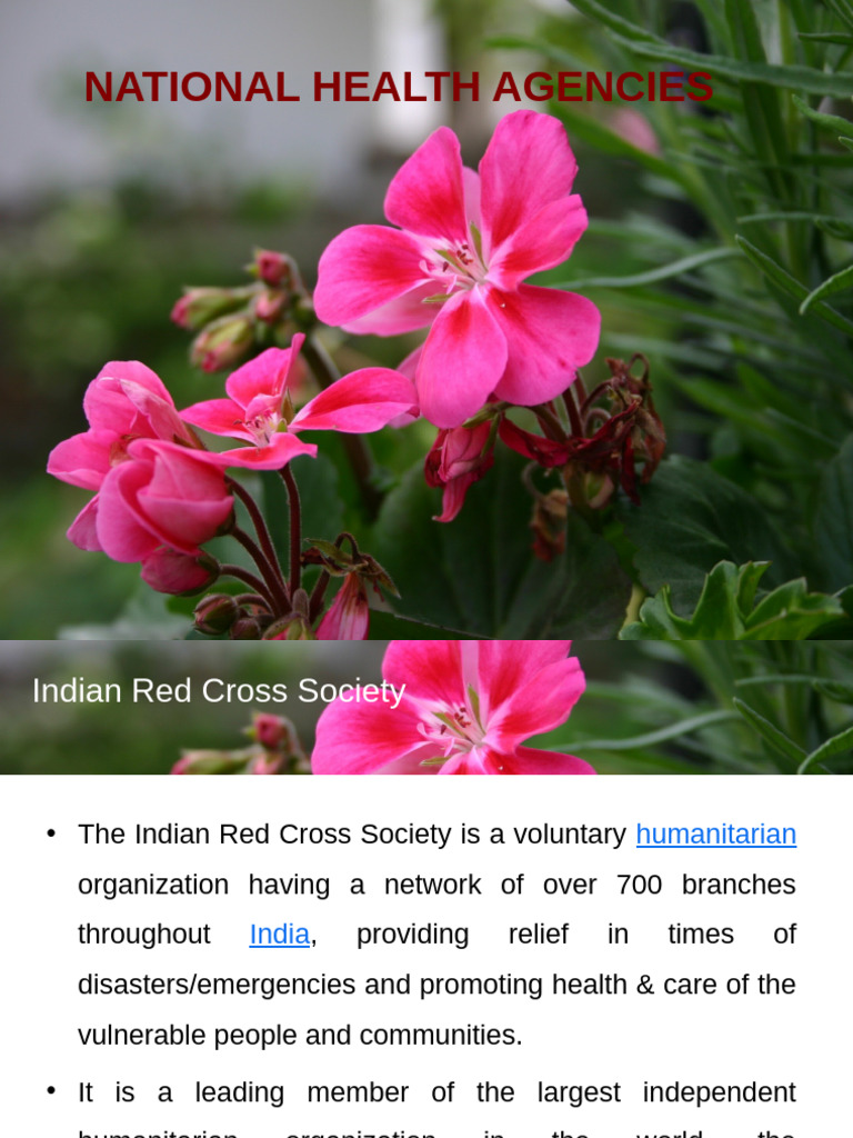 Indian Red Cross | PDF