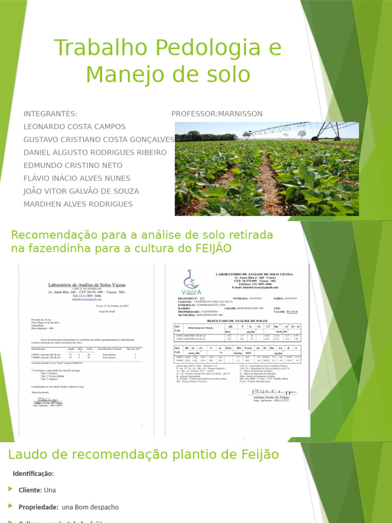 Trabalho Pedologia e Manejo de Solo | PDF