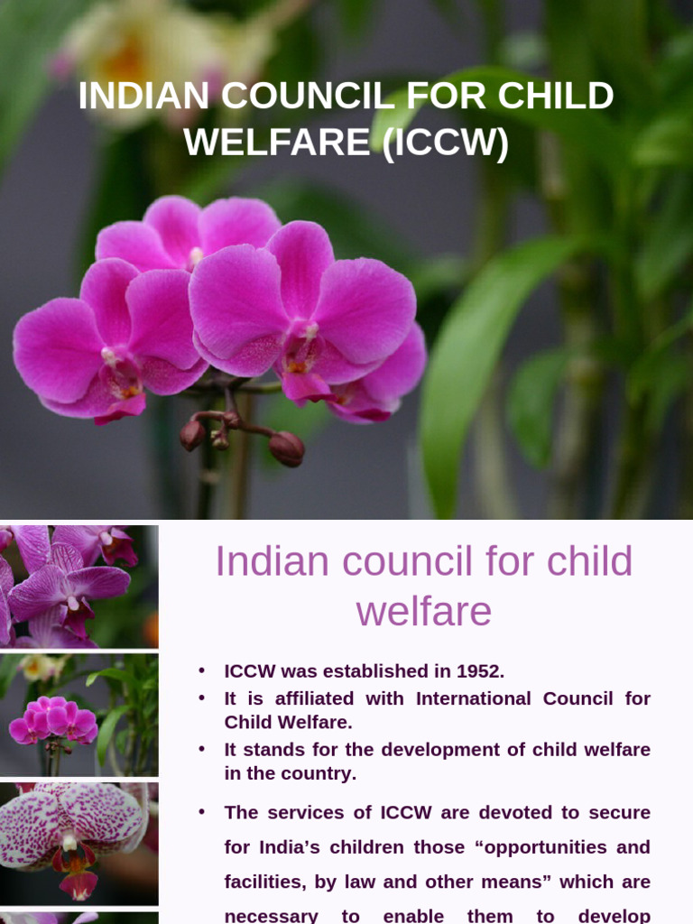 Iccw Fpai | PDF