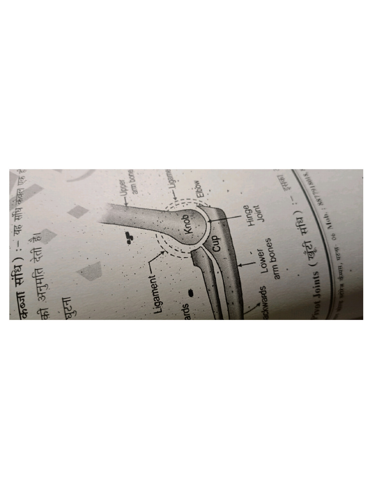 PDFGallery 20241010 170147 | PDF