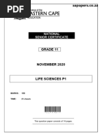 Grade 12 Physical Science Past Papers | PDF | Tests | Educational ...
