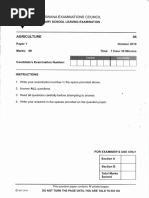 2021 Standard 4 Mathematics | PDF | Rectangle | Mathematics