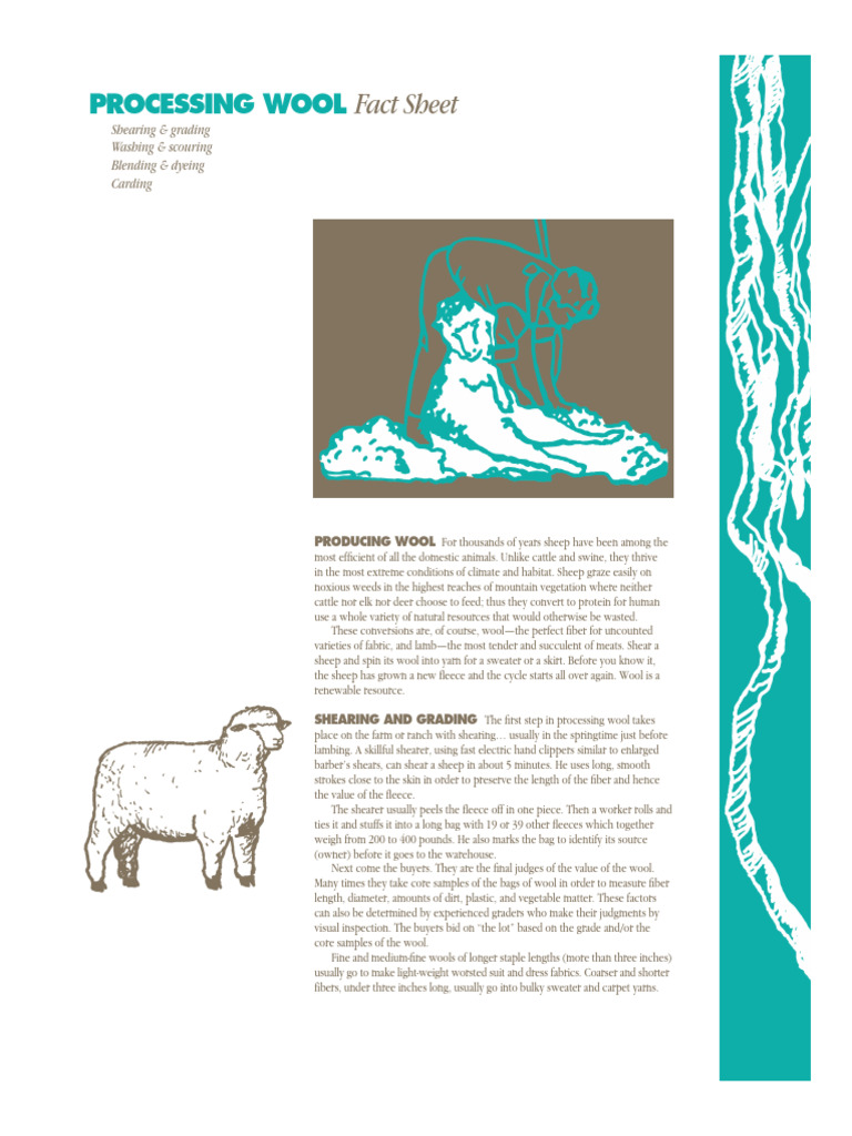 Wool Processing Overview | PDF | Wool | Home & Garden