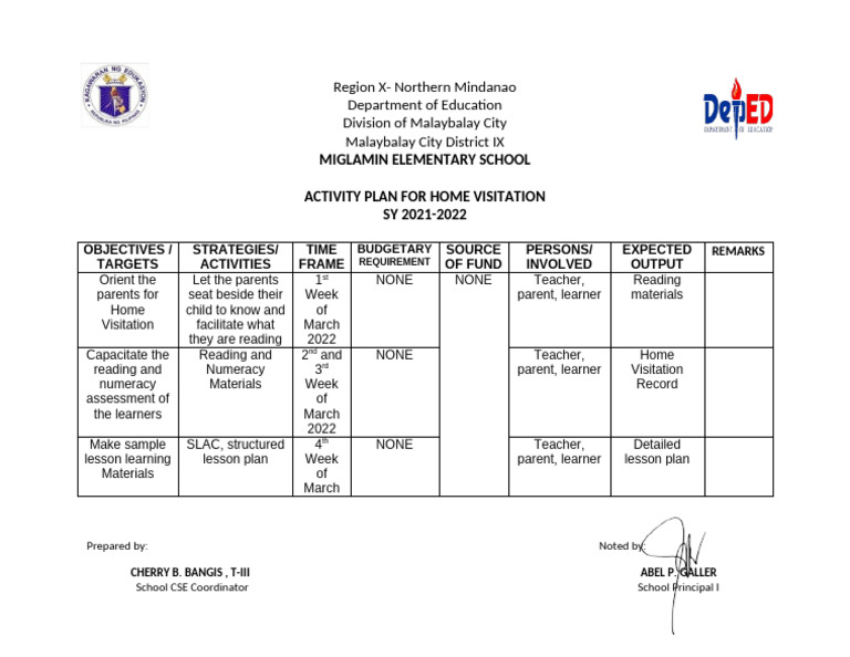 Action Plan in Home Visitation | PDF